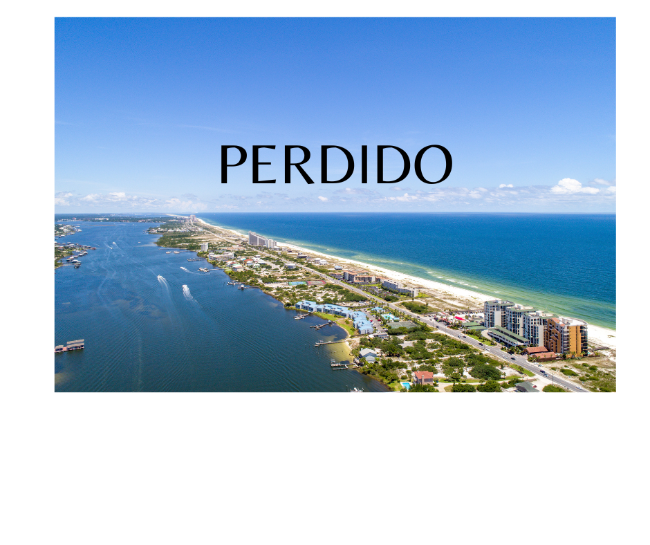 Dana Hardaker - Downtown - Levin Rinke Realty