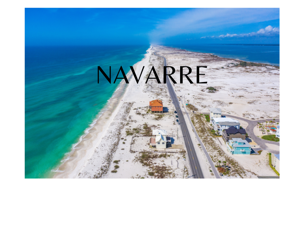 Dana Hardaker - Downtown - Levin Rinke Realty