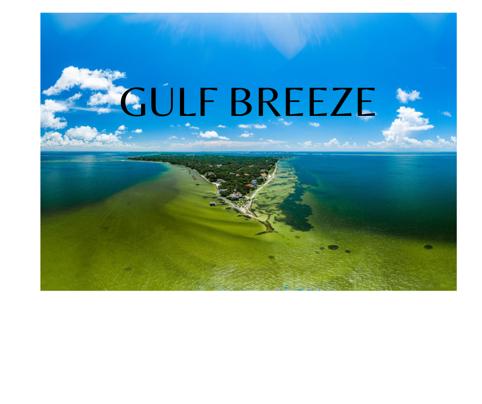 Dana Hardaker - Downtown - Levin Rinke Realty