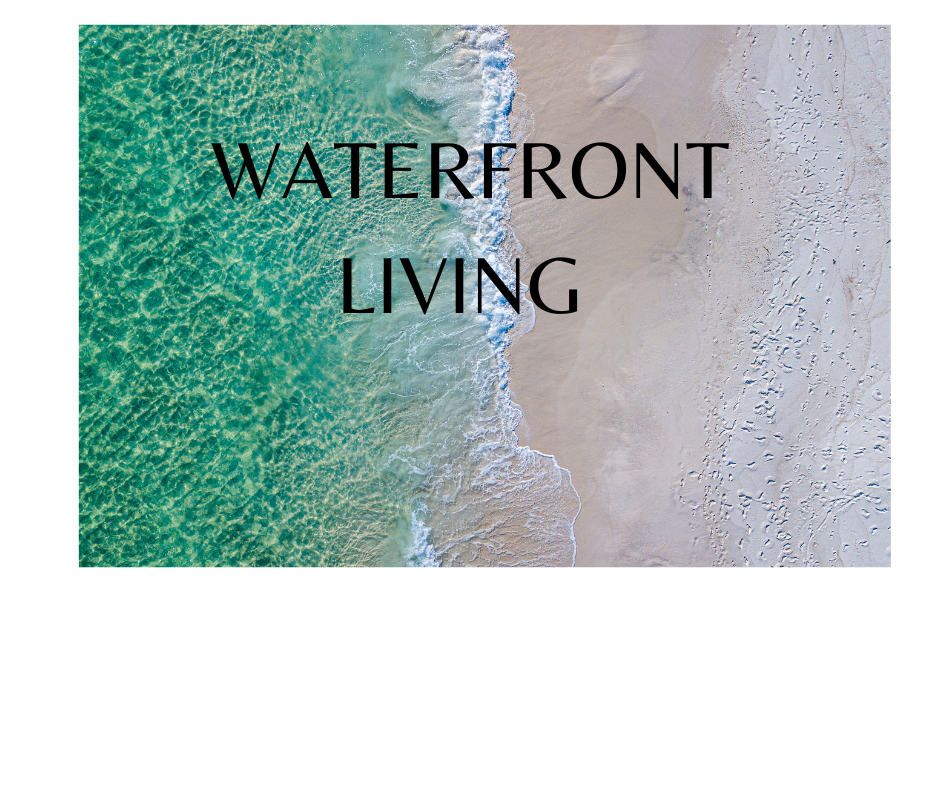 Dana Hardaker - Downtown - Levin Rinke Realty